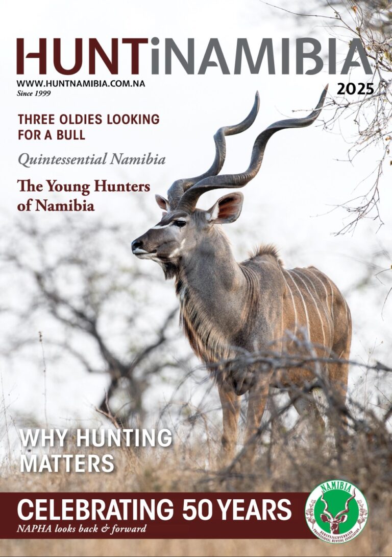 Damara dik-dik - HUNTiNAMIBIA